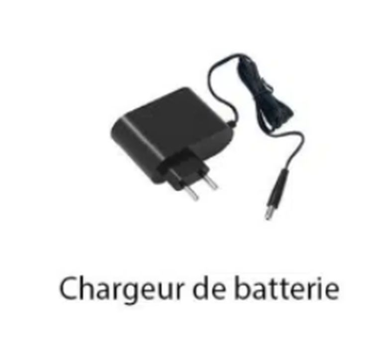 Chargeur Batterie ASpirateur Henry Quick - Detercentre & Cleor
